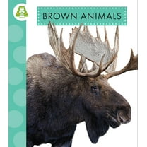 Amazing Animals: Elephants (Paperback) - Walmart.com