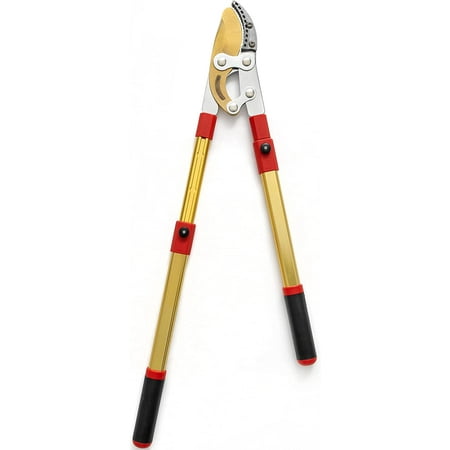 Professional Titanium Telescoping Loppers, Anvil Hedge Clippers, Tree ...