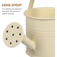 1Set Small Metal Watering Can with Gardening Tools Iron Watering Pot ...