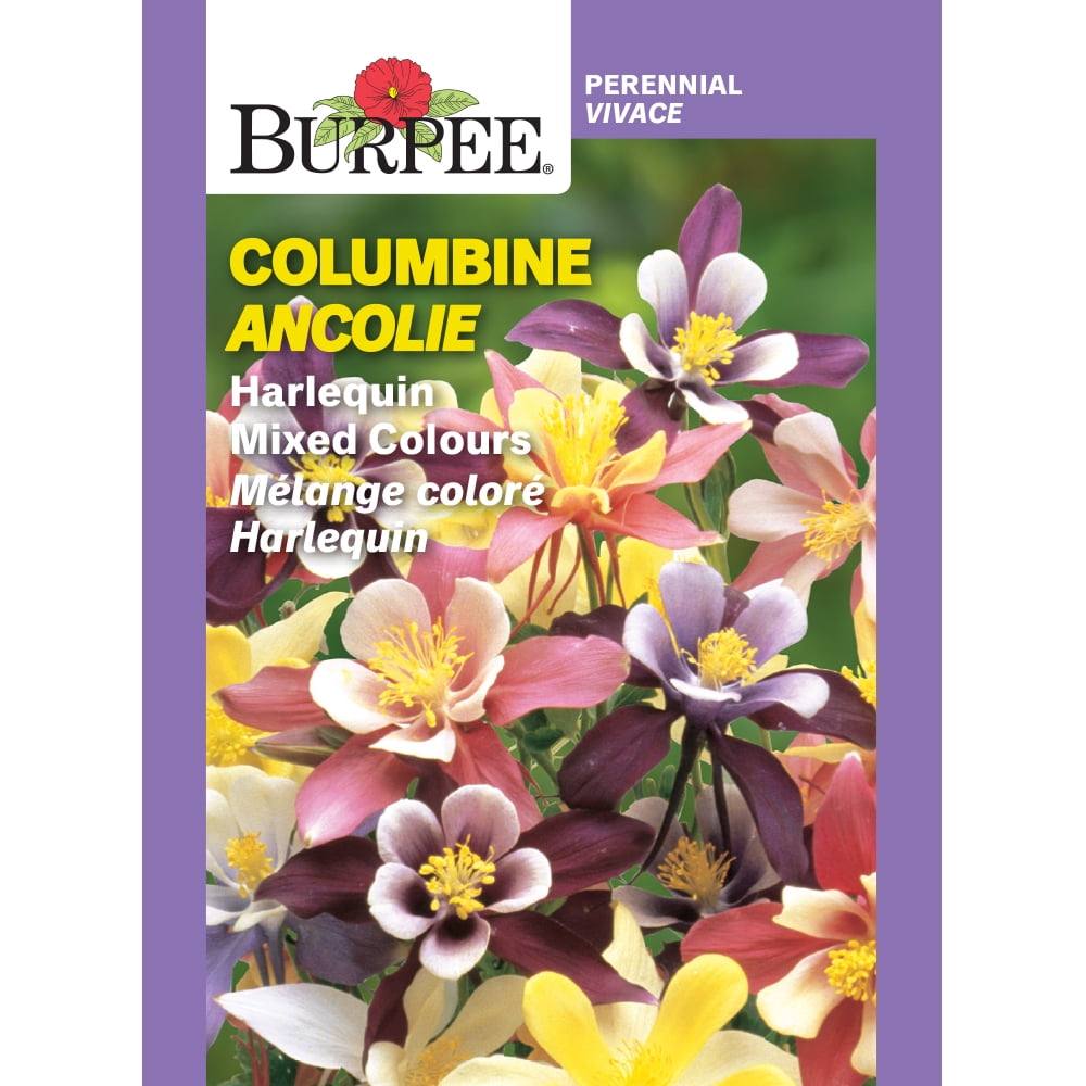 Click here for Burpee Canada Burpee Harlequin Mixed Colours Colum... prices