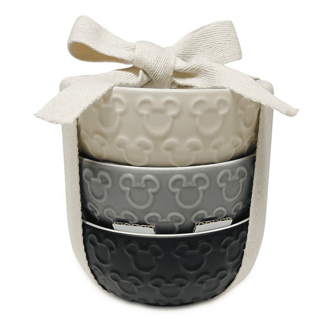 Disney Parks Homestead Collection Home Mickey Mini Bowl Set New with ...