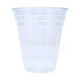 EDI Crystal Clear Disposable PET Plastic Cups - 12 oz, 100 Pack for ...