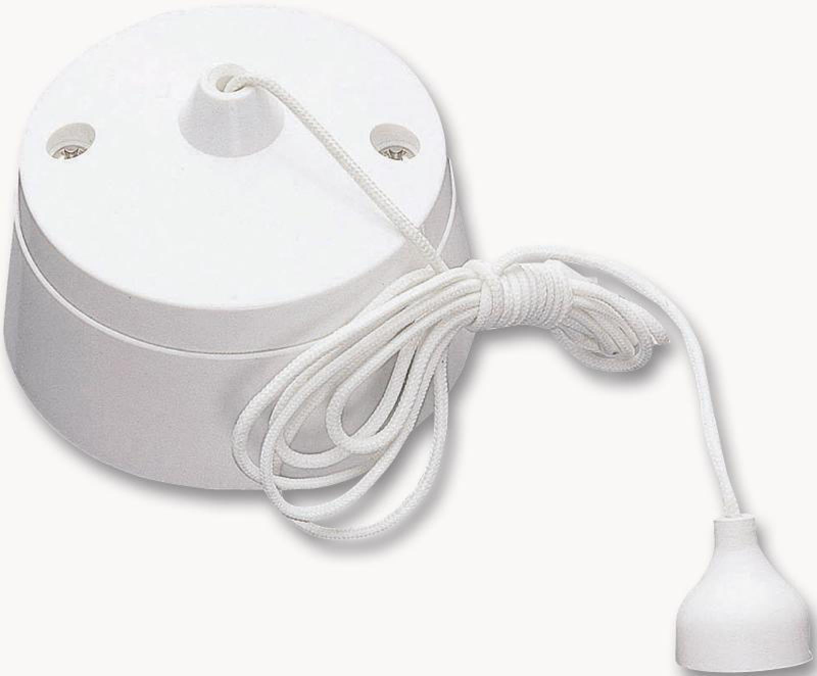 CLICK - 10AX 2 Way Ceiling Pull Cord Switch - Walmart.com