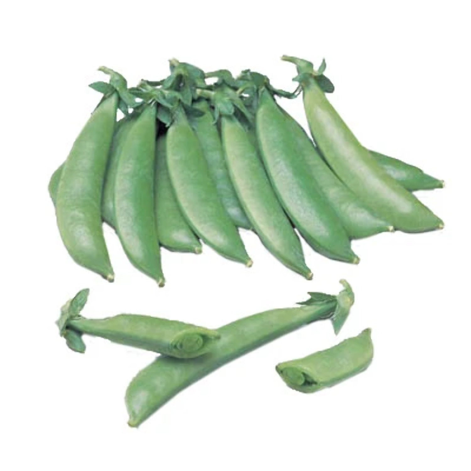 Pea Sugar Sprint Seed - Walmart.com