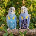 Bird Flight Harness Vest, Snap-Fastener Design Harness Vast, Bird ...