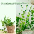 Plant Clips for Climbing Plants Indoor-Outdoor: 60 Pcs Reusable Green ...
