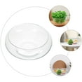 NUOLUX Round Mini Glass Fish Bowl, Small Desktop Tank, Clear Goldfish ...