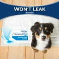 Hartz Home Protection Training Pads, 14 ct - Walmart Business Supplies