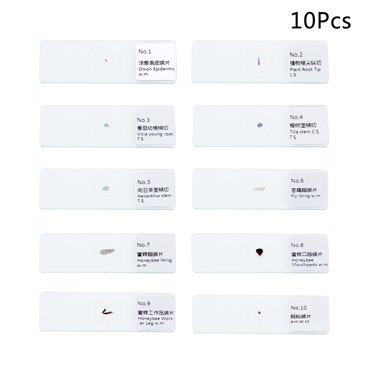 AmScope Microscope Stage Calibration Slide for USB Camera 0.01mm Stage ...