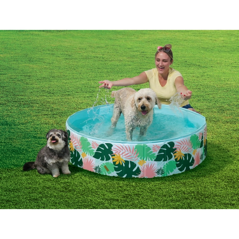 Walmart dog pool store