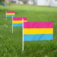 Anley Pansexual Pride Miniature Flag 5x8 inches Handheld Stick Flag (1 ...