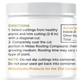 Midas Hydro IBA Rooting Gel for Plant Growth & Propagation - Cloning ...