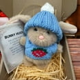 Bunny Hug Plush Easter Gift – Soft Floppy Rabbit in a Box, Positive ...