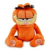 "NECA Garfield and Pooky 13"" Medium Plushie Toy" - Walmart.com