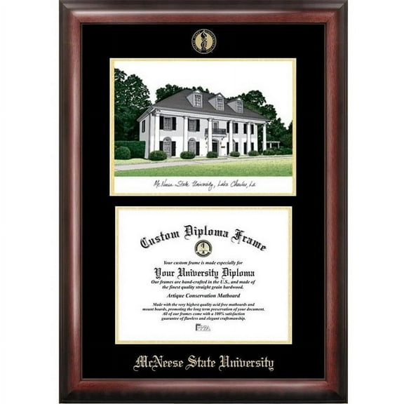 University of North Texas 11" x 14" Gold Embossed Diploma Frame with ...