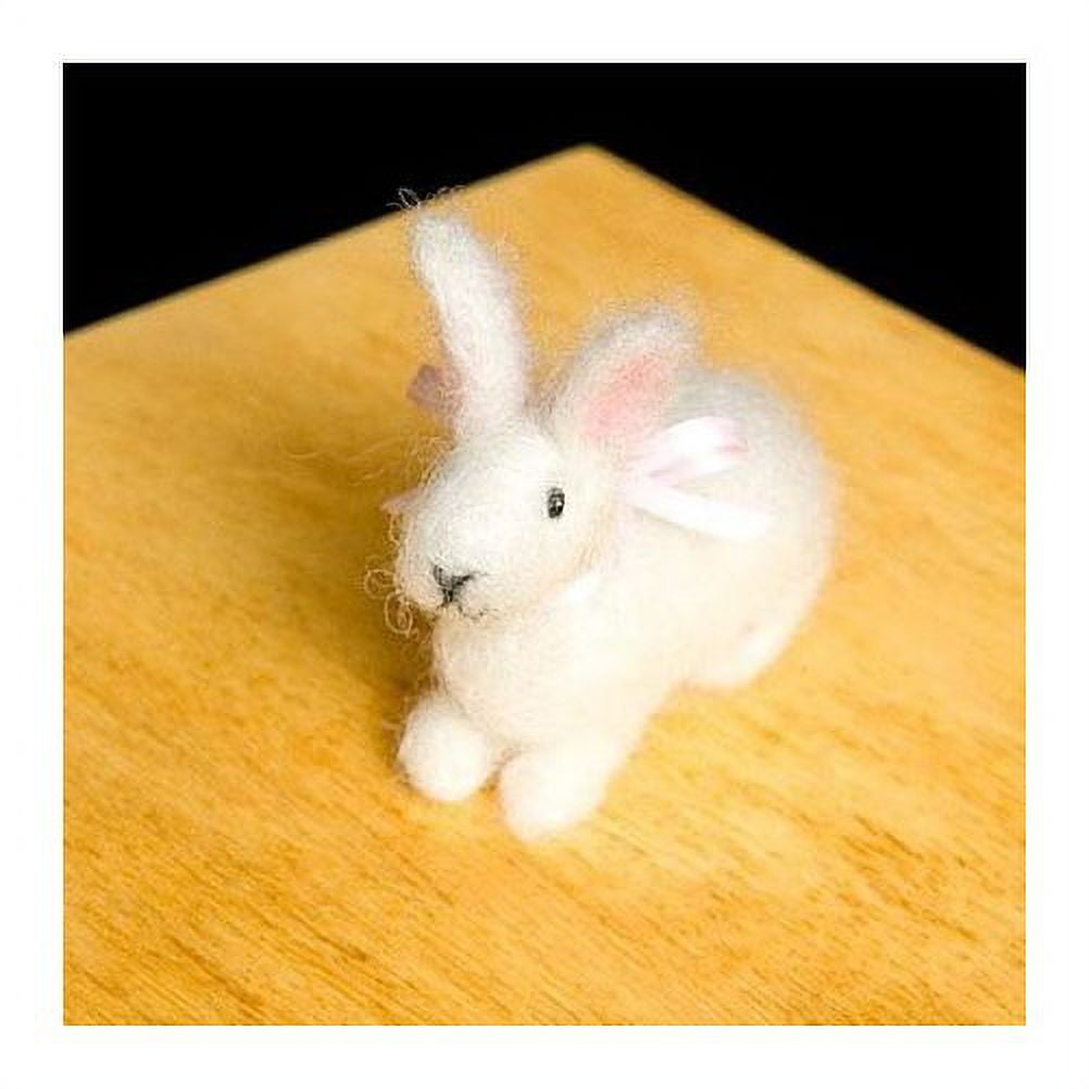 Bunny Wool Needle Felting Craft Kit by WoolPets. Made in the USA ...