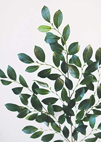 Silk Italian Ruscus Stem - 26" Tall - Walmart.com