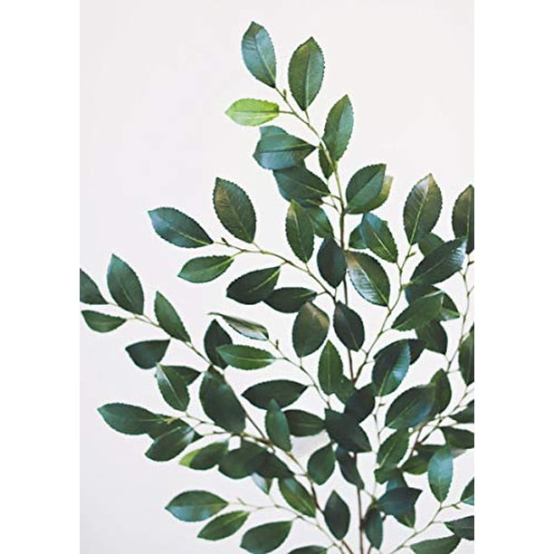Silk Italian Ruscus Stem - 26" Tall - Walmart.com