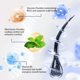 Seapuri Scalphy Hair Growth Serum for Women – Scalp Treatment for Hair ...