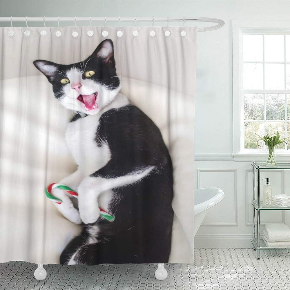 Cynlon Crazy Cute Smiling Tuxedo Cat Funny Face Christmas Candy