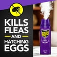 Raid Indoor Flea Killer Plus Fogger, Home Spray, Kills Eggs, 4 Months ...