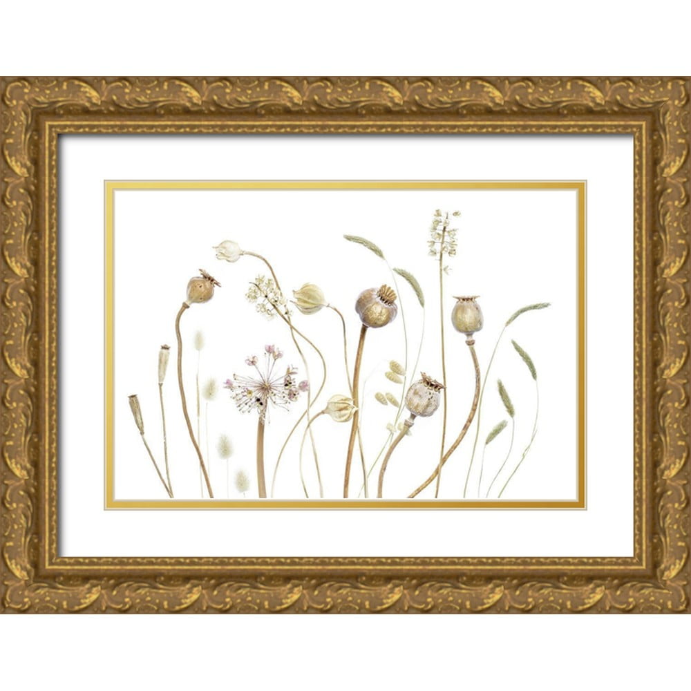 Disher, Mandy 24x17 Gold Ornate Wood Framed with Double Matting Museum ...