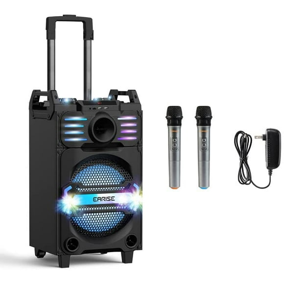 Speaker And Microphone System