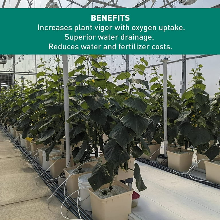 Hydroponic System For Cuttings