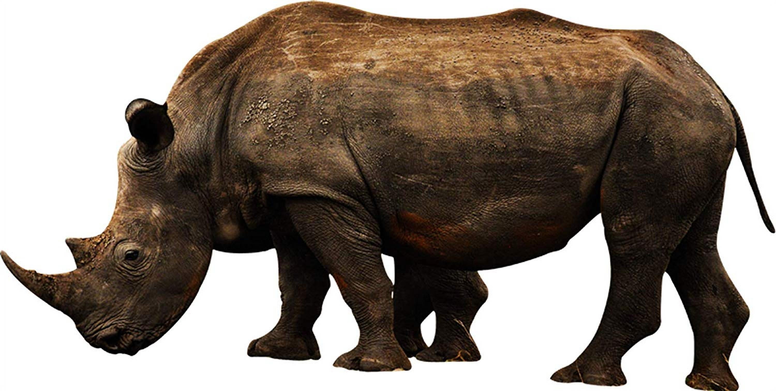 VWAQ Rhino Vinyl Wall Sticker - Rhinoceros Decor, Realistic Animal Wall ...
