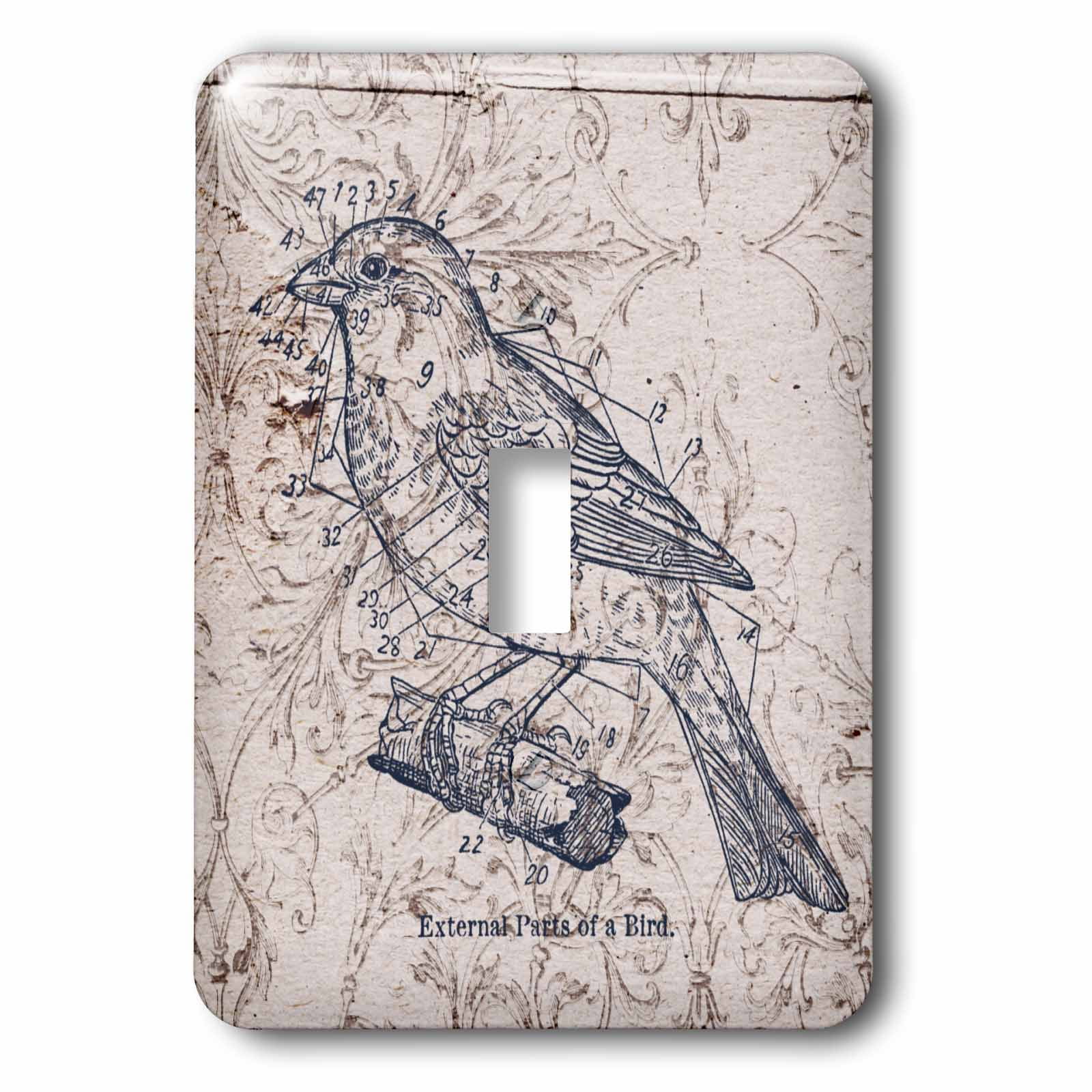 Vintage Birds with diagram steampunk art single toggle switch lsp ...