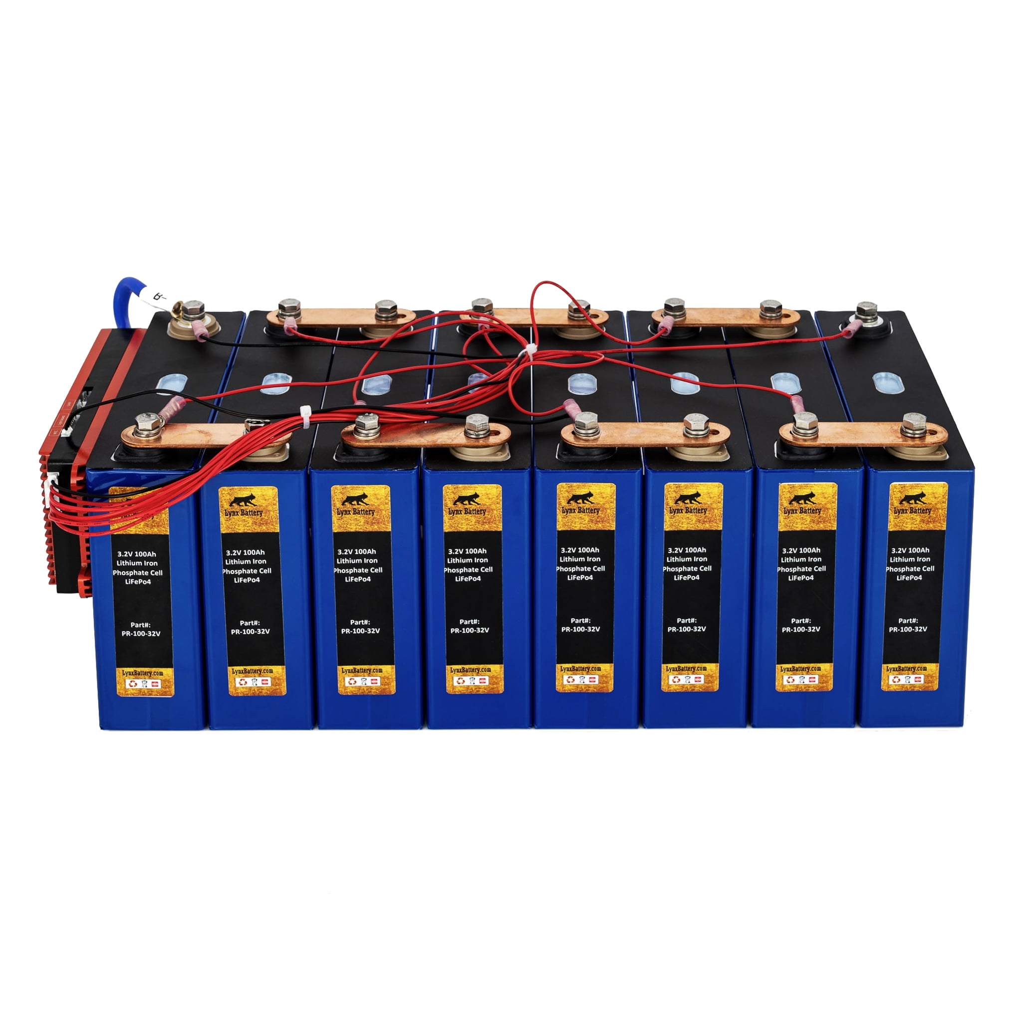 Buy Lynx Battery 24V 100Ah Lithium Iron Phosphate LiFePO4 Rechargeable ...
