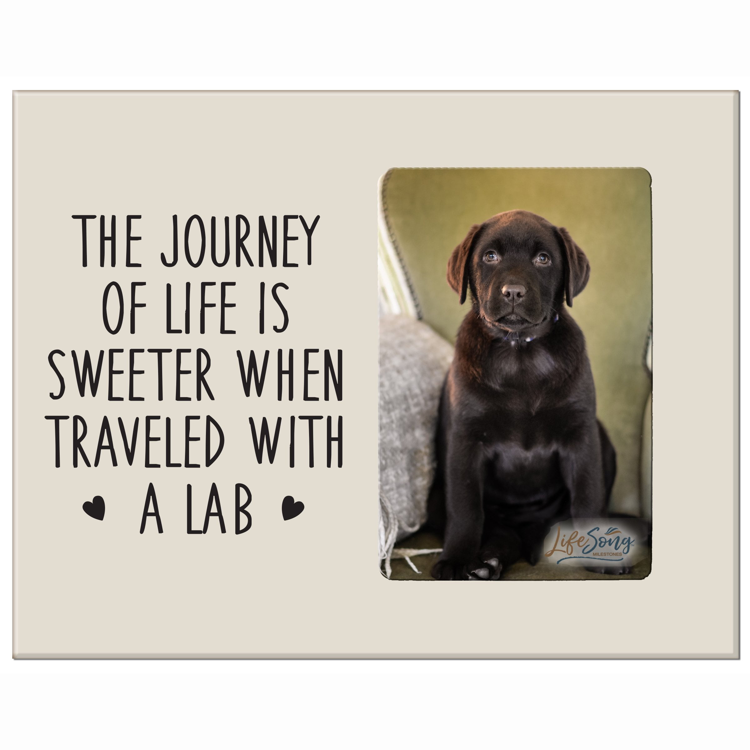 Printed Labrador Retriever Photo Frames - The Journey of Life - Walmart.com