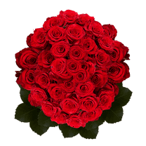 Globalrose Fresh Real Live 50 Red Roses Bundle - Walmart.com