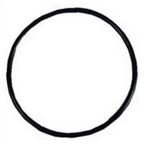 Pentair 24850-0009 25" Tank Body O-Ring for Pentair Sta-Rite System 3, S8 Models - Walmart.com