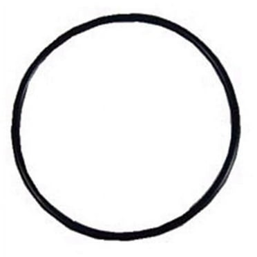 Pentair 24850-0009 25" Tank Body O-Ring for Pentair Sta-Rite System 3, S8 Models - Walmart.com