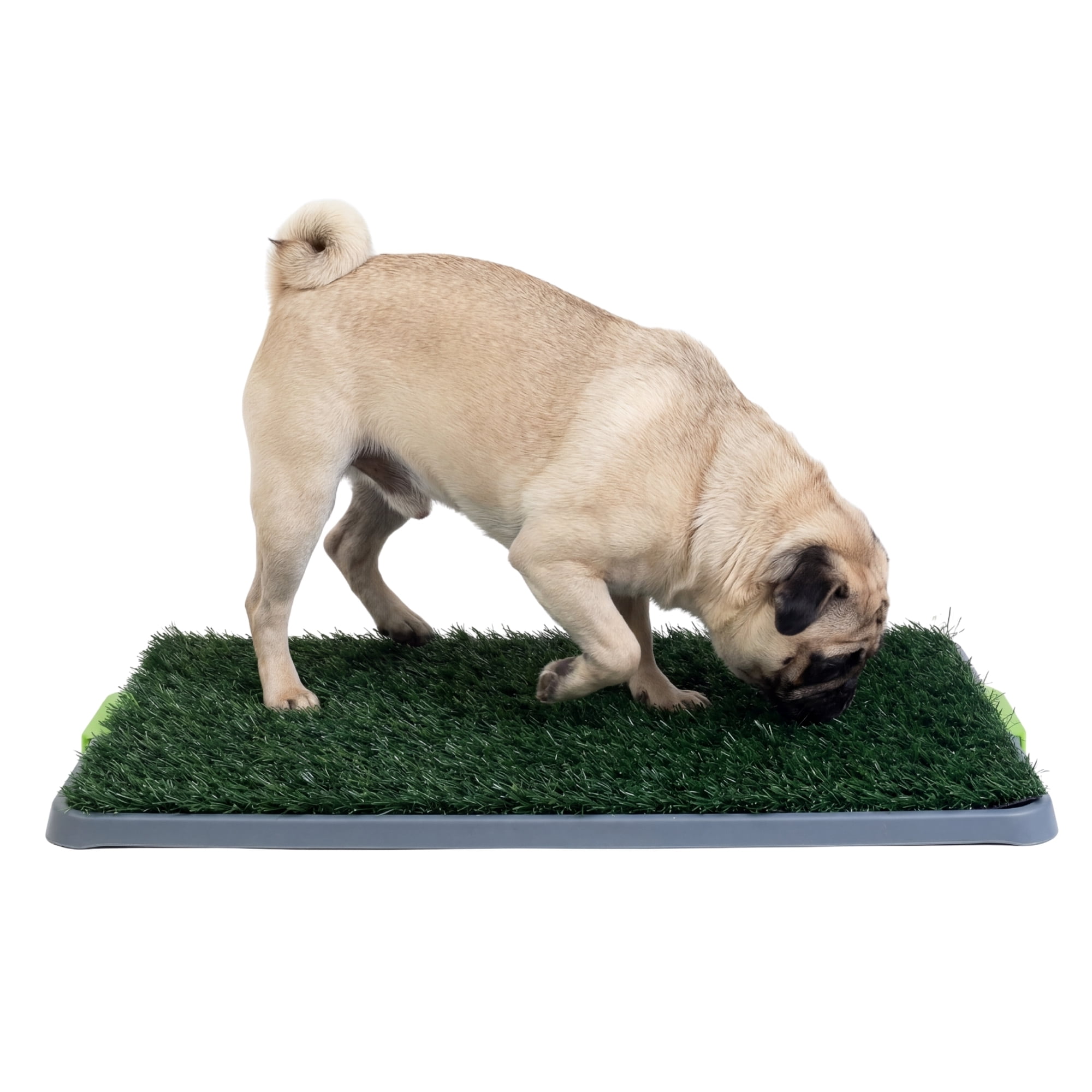 Click here for One Paw  Reusable Pooch Patch Dog Grass Pee Pad Wi... prices