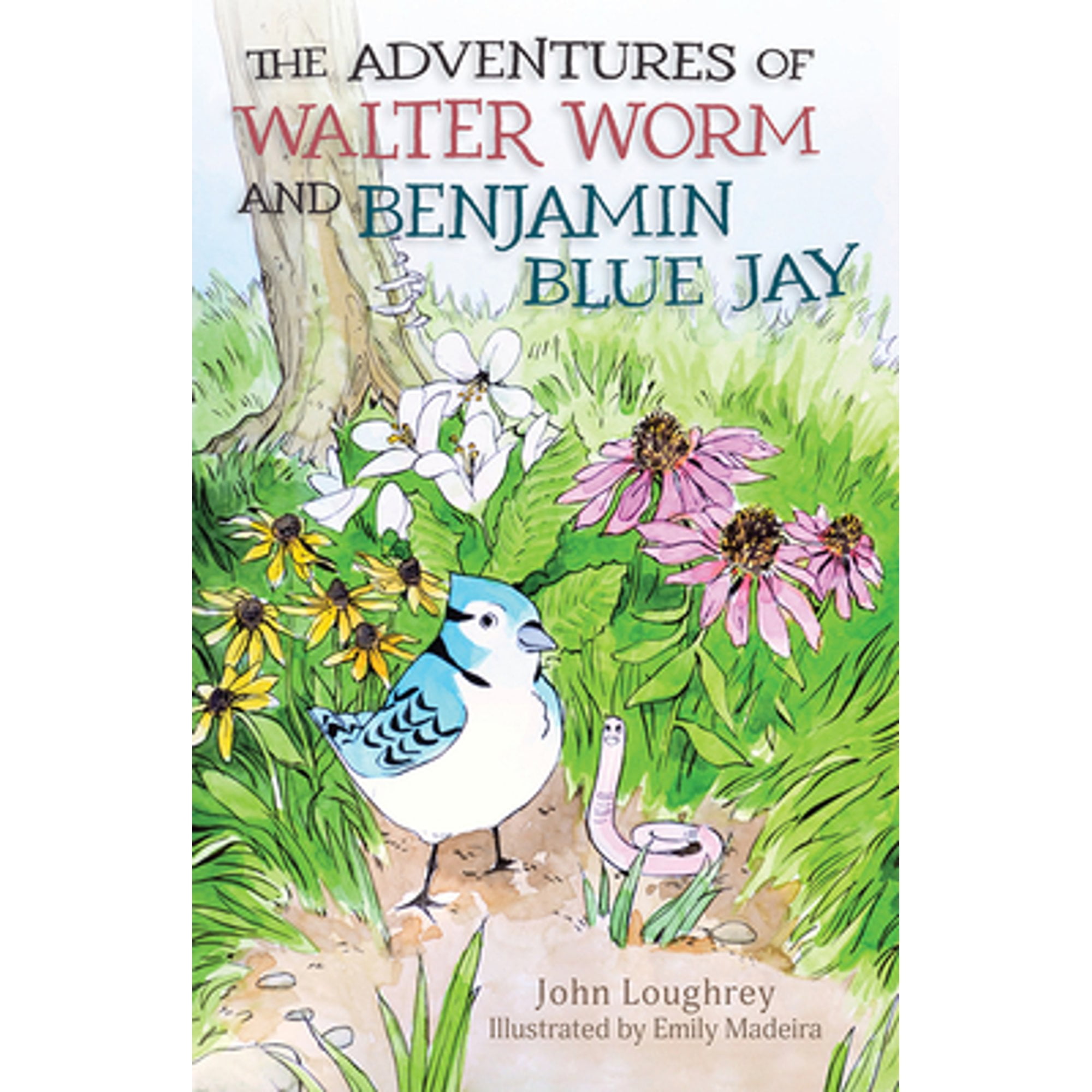 Pre-Owned The Adventures of Walter Worm and Benjamin Blue Jay - Walmart.com