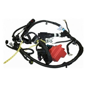 Motorcraft Batteries