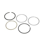 GM Genuine Parts 12685186 Piston Ring Kit with Compression Rings Oil ...