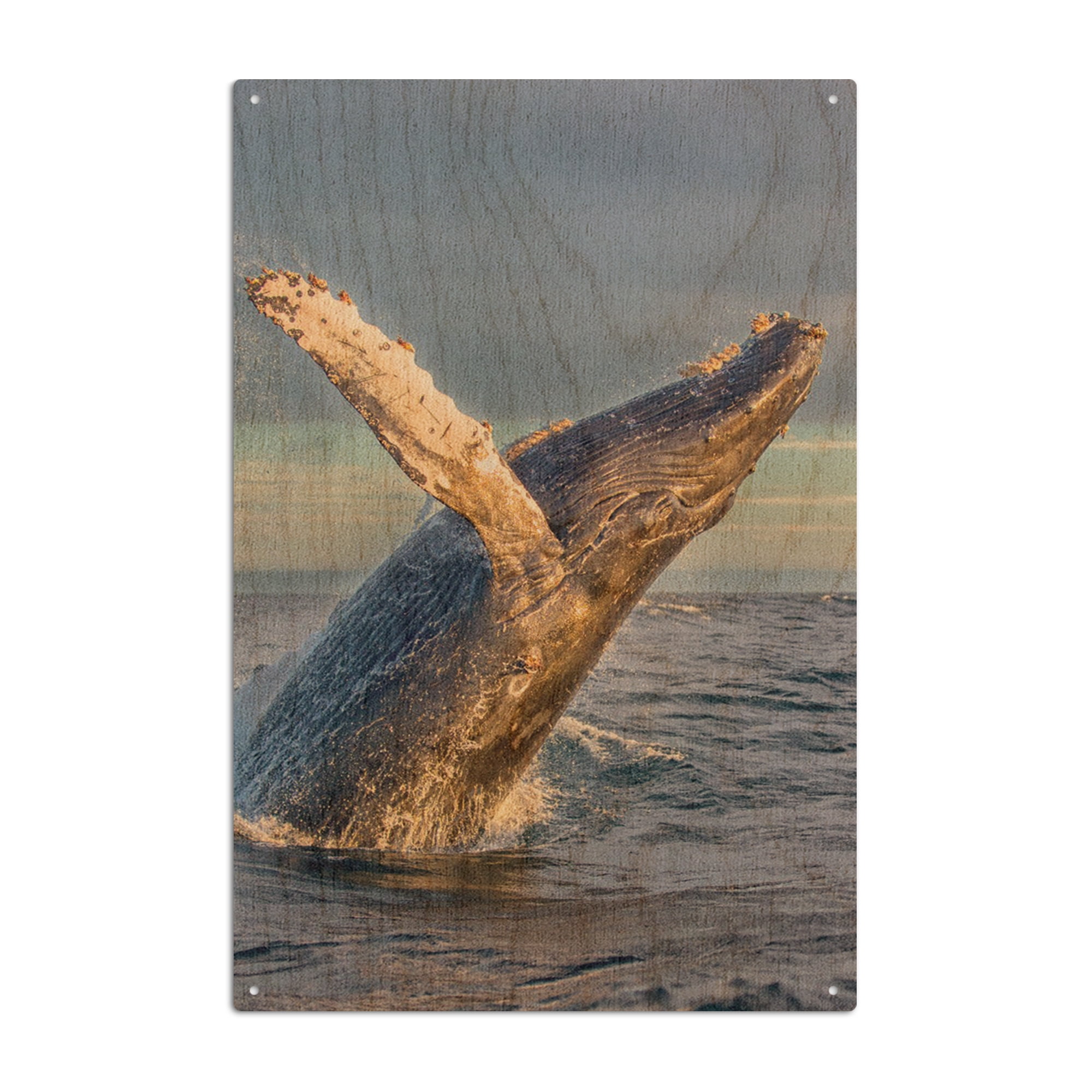 Humpback Whale Breaching Birch Wood Wall Sign (6x9 Rustic Home Decor ...