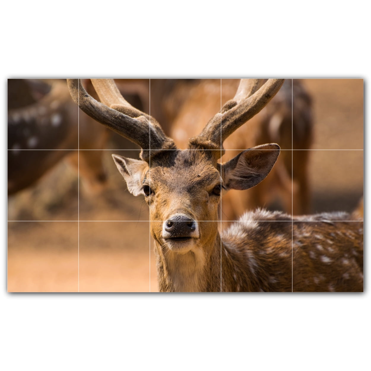 Picture-Tiles.com: Deer Ceramic Tile Wall Mural WAL500449-53XL. 60"W x ...