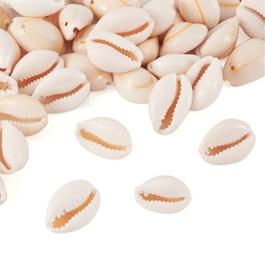 50pc Natural Cowrie Shell Beads Dyed Seashell Color Hole: 2mm - Walmart.com