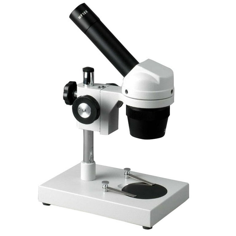Dissecting Microscope Images