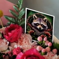 3drose, a Raccoon Surrounded by a Wreath Tennessee Purple Coneflower, 6 ...