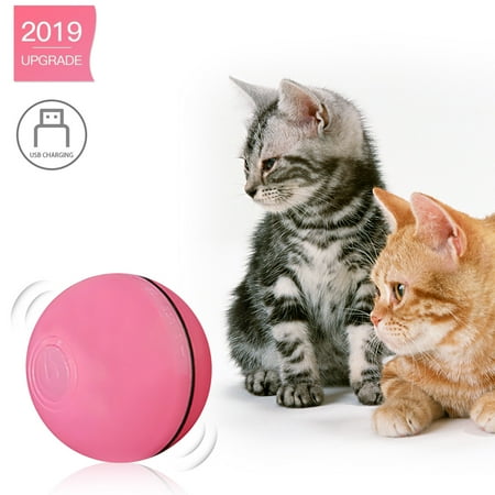 Electric Interactive Cat Toy Ball Rolling Ball for Cats Exercise LED ...