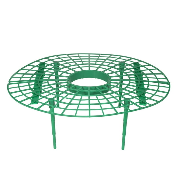 Support Stand, 1 Pack Strawberry Support Stand Strawberry Plant Support ...