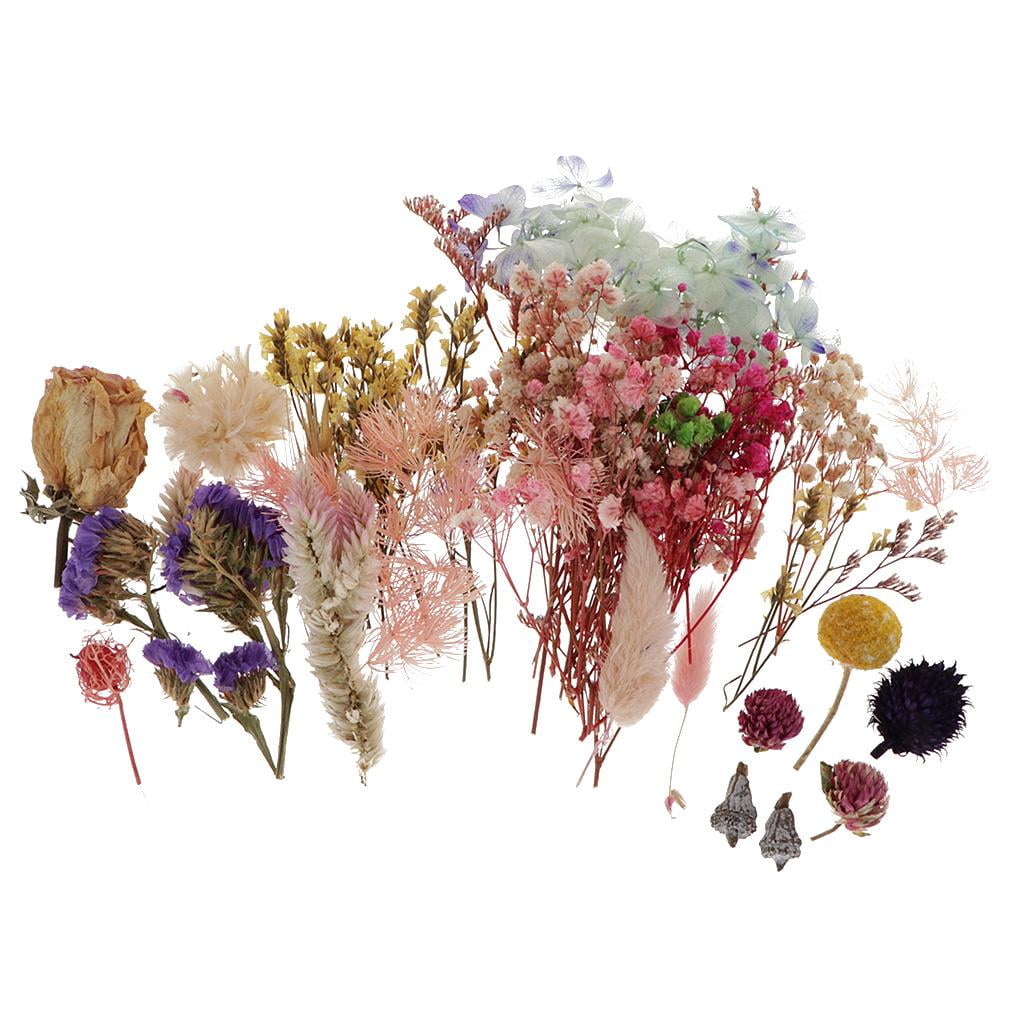 Click here for Shangren Natural Pressed Dried Flowers For Diy Scr... prices