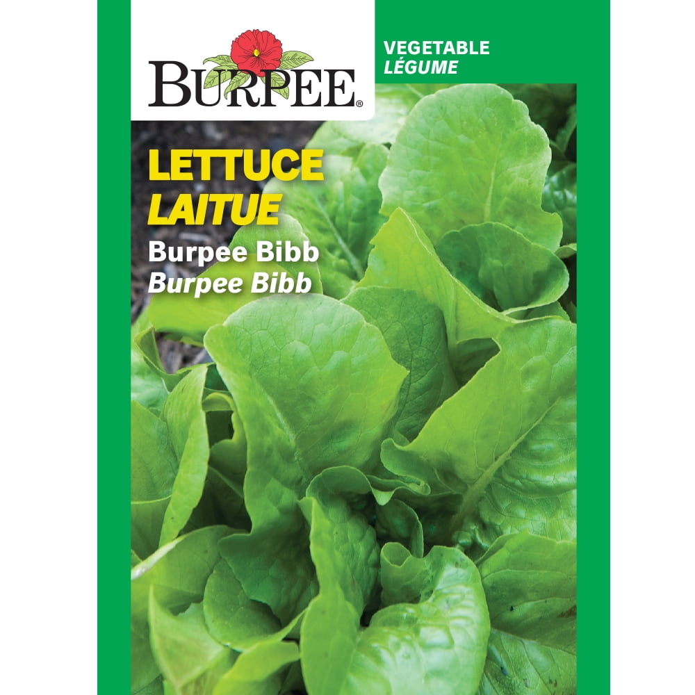 Click here for Burpee Canada Burpee Burpee Bibb Lettuce prices