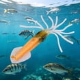 1/3/5/8/10Pcs 5.3x1.4 Inch Fishing Bait Saltwater Freshwater Fake Squid ...