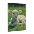 CozyNet Lamb Lying Peacefully In Green Pastures, Sunlight Casting Soft ...